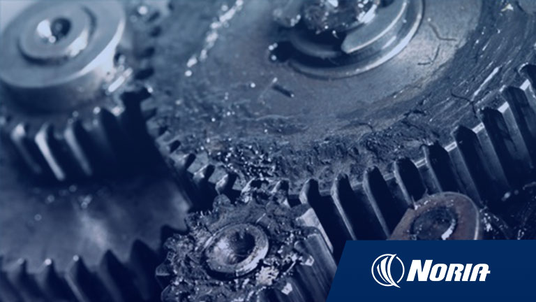 Desgaste - Noria Latín América